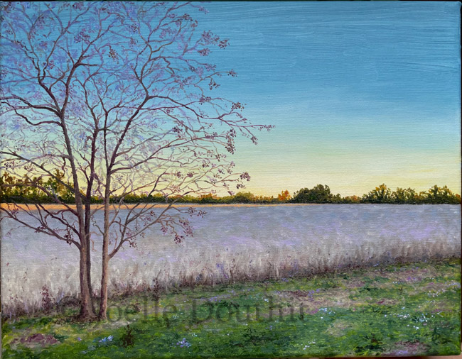 Joelle Douthit, Artist – Oils, Printmaking, Watercolors… just about ...